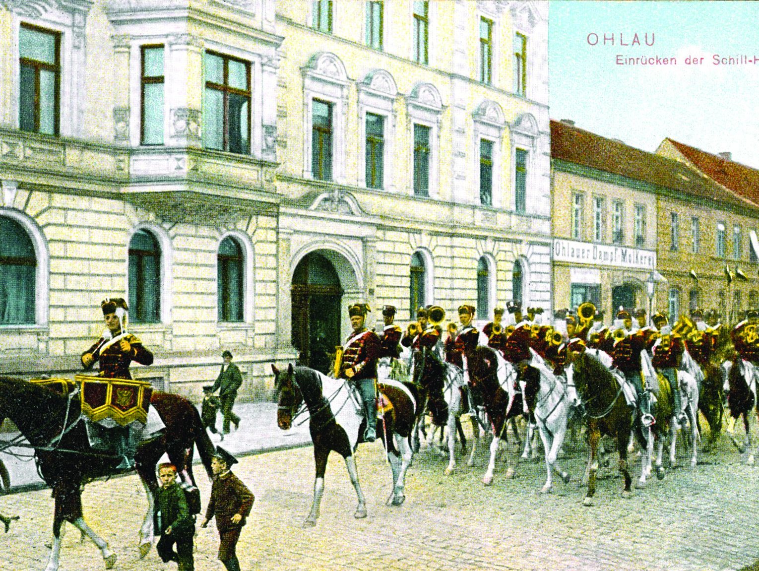 Brązowi huzarzy (3)