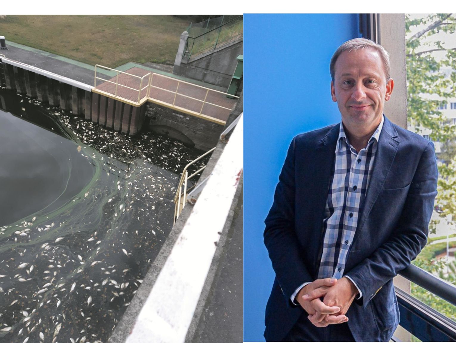 Przez rok badali stan Odry. Jakość wody jest zła!